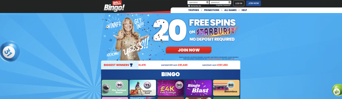 Daily Record Bingo - Claim 20 No Deposit Free Spins Here!
