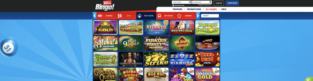 Daily Record Bingo - Claim 20 No Deposit Free Spins Here!