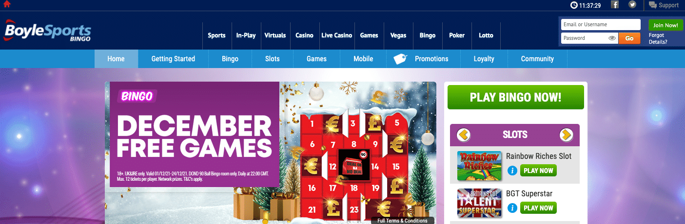 Boyle Bingo - Read Our Review & Get The Latest Offers Here!