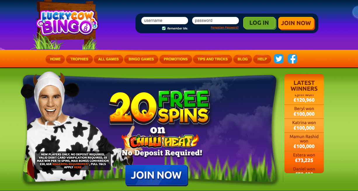 Lucky Cow Bingo - Read Our Review On This Popular Bingo Website!